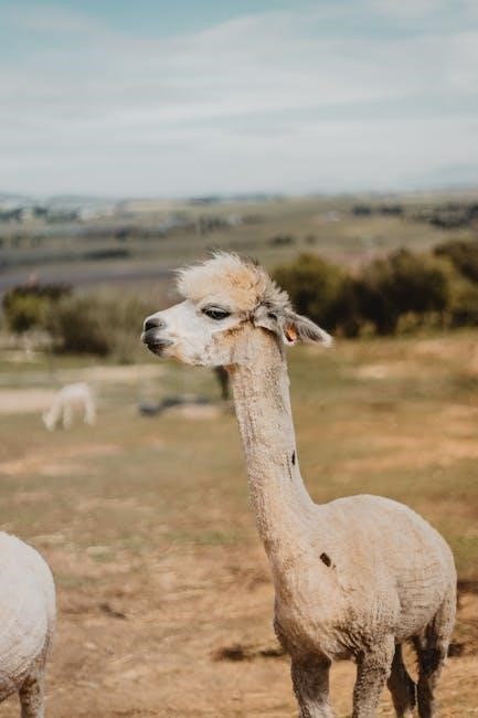 Llama Llama Misses Mama PDF: Read & Download Now!